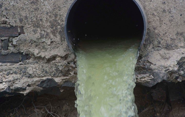 Everything You Should Know About Your Septic System In New Braunfels ...